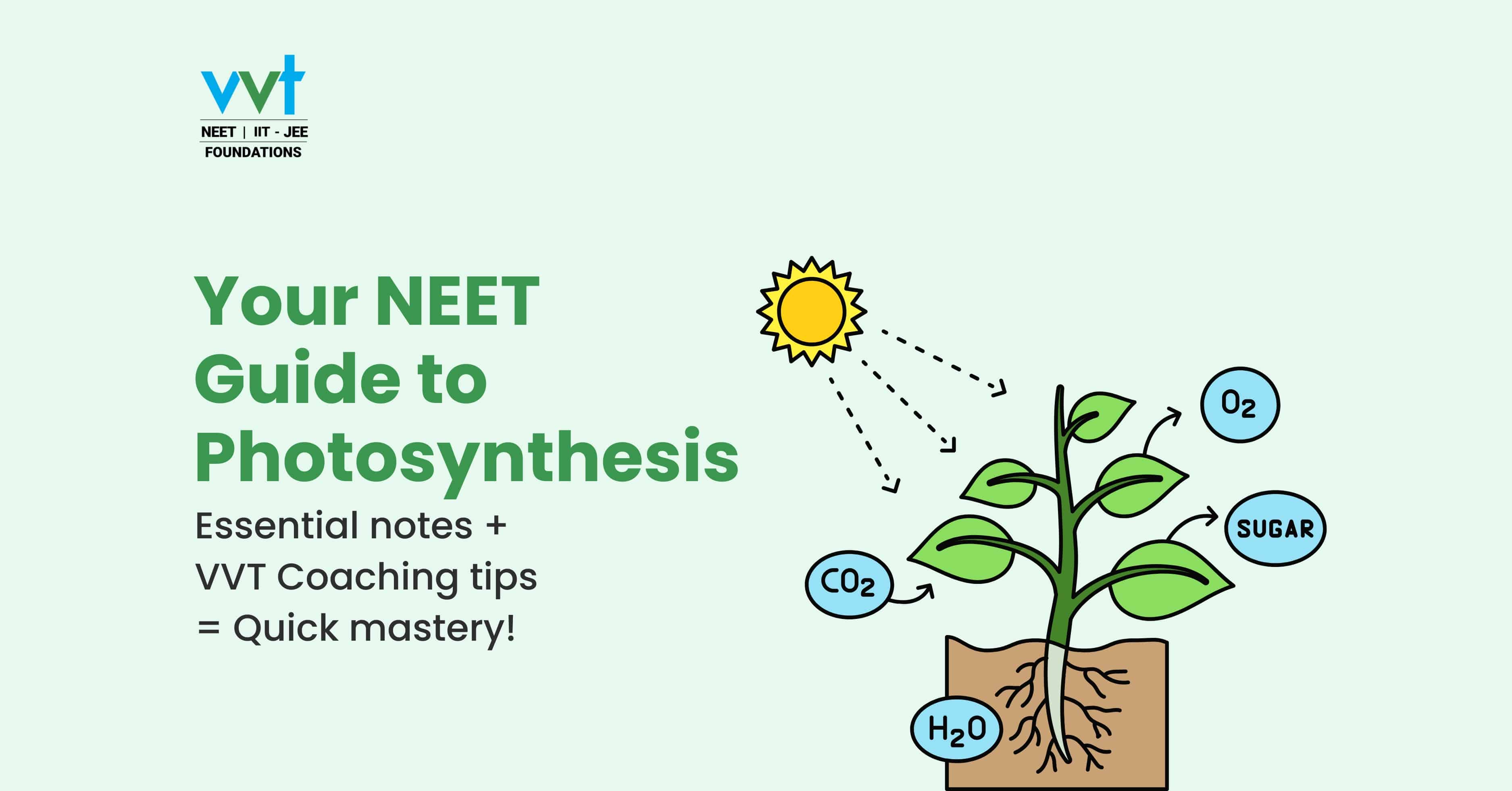 Photosynthesis in Higher Plants for Notes NEET 2025